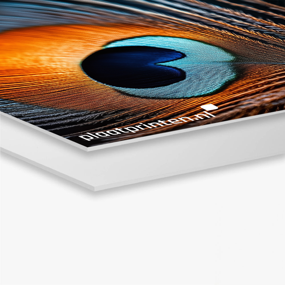 Plaatprinten.nl print alles óp alles!